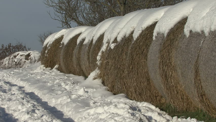 Snow on hay bales image - Free stock photo - Public Domain photo - CC0 ...