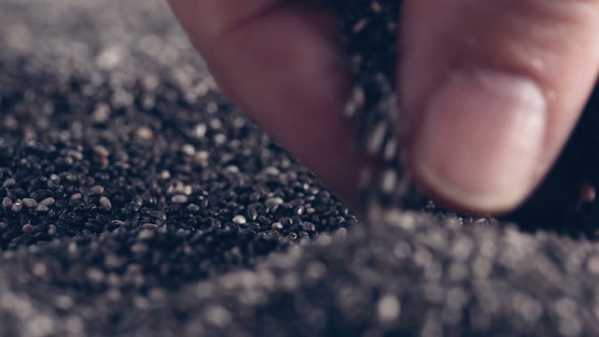 Chia Seed Stock Video Footage - 4K and HD Video Clips | Shutterstock