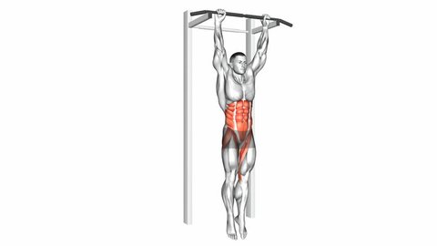 Hanging Leg Raises Muscles Worked