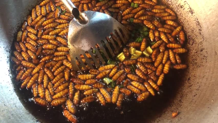 Cactus Worm image - Free stock photo - Public Domain photo - CC0 Images