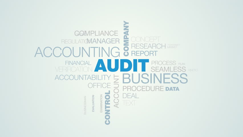 Audit Analysis Stock Video Footage - 4K and HD Video Clips | Shutterstock