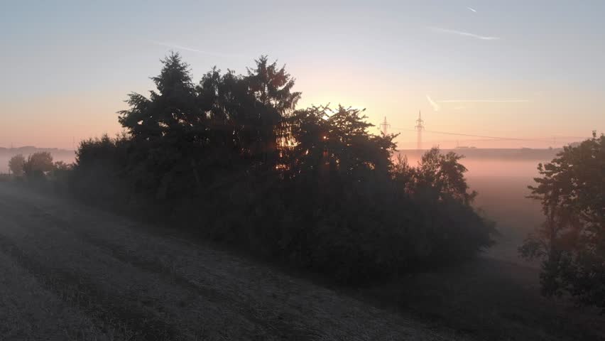 Colored autumn trees and leaves in the fog image - Free stock photo ...