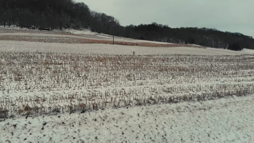 Landscape of the Snowy Field in Wisconsin image - Free stock photo ...