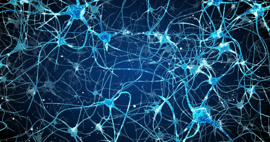 Human Nervous System Stock Video Footage - 4K and HD Video Clips ...