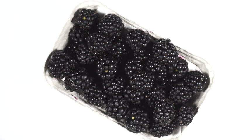 Boxes of Blackberries image - Free stock photo - Public Domain photo ...