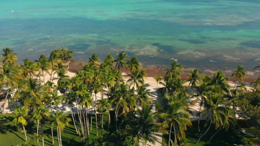 Beach and trees at Key Largo, Florida image - Free stock photo - Public ...