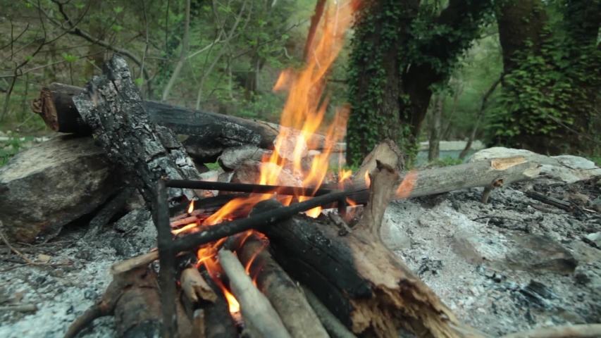 Fire in the Skies in the Black River Forest image - Free stock photo ...