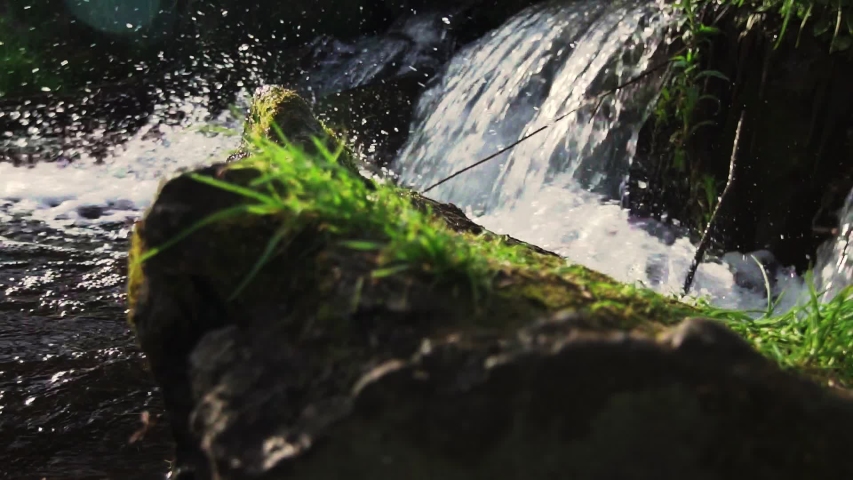 Rapids and river scene in the wild image - Free stock photo - Public ...
