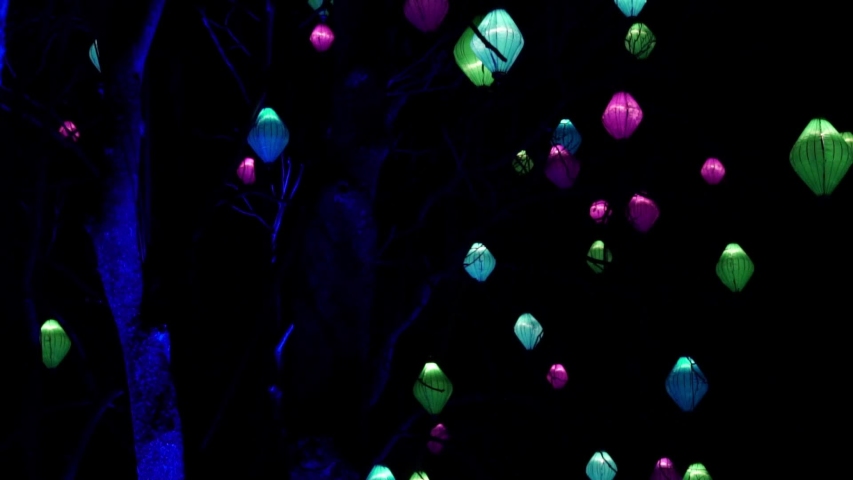 Neon Christmas Tree and Lights and Decorations image - Free stock photo ...