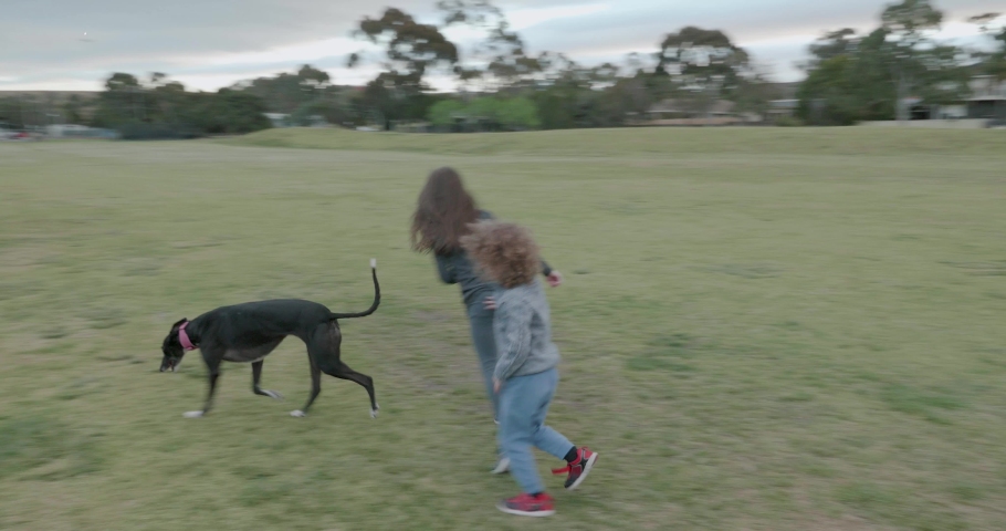 Dog running across the field image - Free stock photo - Public Domain photo - CC0 Images