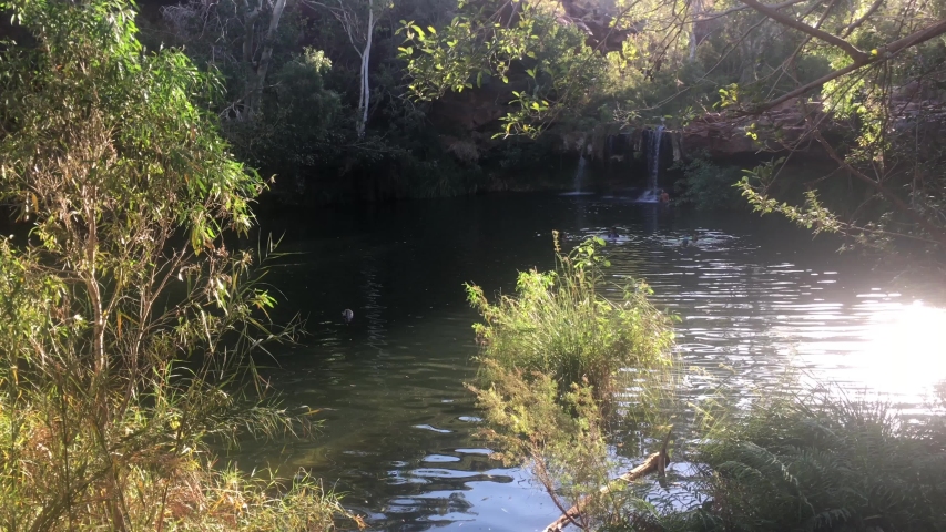 Landscape and Stream in Western Australia image - Free stock photo ...