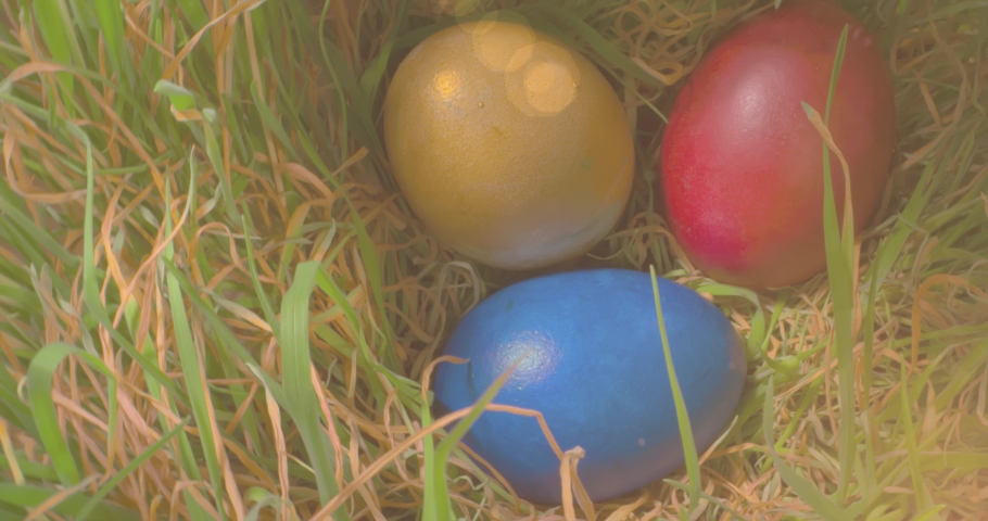 Colored Easter Eggs in Nest image - Free stock photo - Public Domain ...