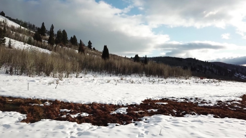 Winter with snow on the ground landscape image - Free stock photo ...