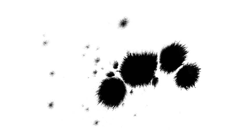 Ink Drops On White. Perfect For Transitions/Ink Drops/Splatter 스톡 동영상 ...