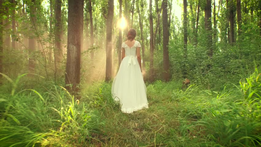 Fairy Tale Princess Bride Walking In Enchanted Forest Sunset Rays Bride ...