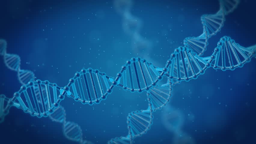 3D Animation Of DNA. DNA Chain Under The Microscope. Scientific High ...