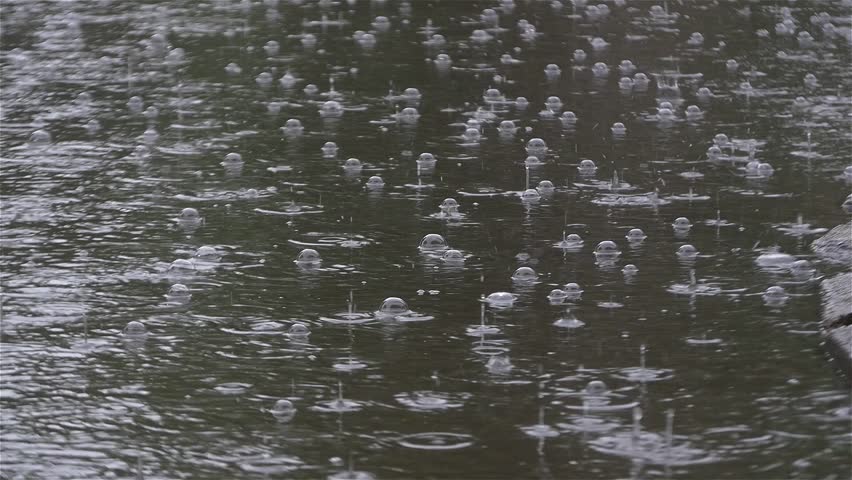 Rain Falling In The Puddle And Create Bubbles That Burs,raindrops ...