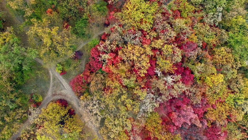 Aerial: Top View of Colorful Stock Footage Video (100% Royalty-free ...