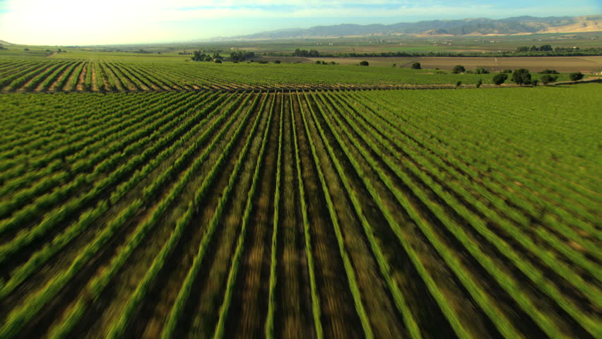 Aerial California USA Farming Crops Field Vegetation Agricultural Stock ...