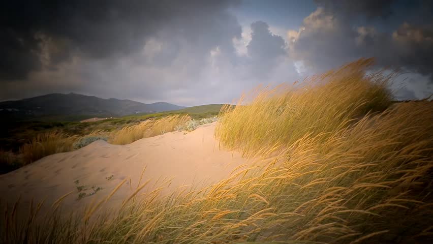 Cinemagraph Loop - Sea Mist Blows Over A Beach. Motion Photo. Stock ...