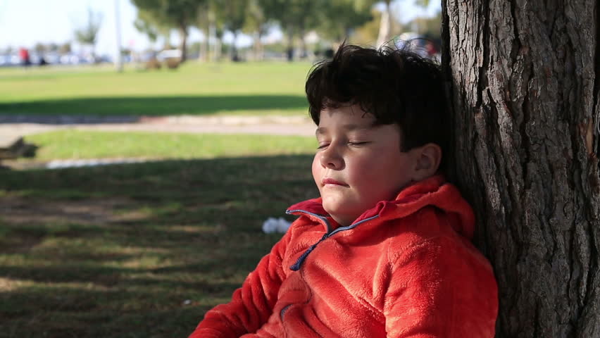 Stock Video Clip of Portrait of cute boy sleeping near tree | Shutterstock