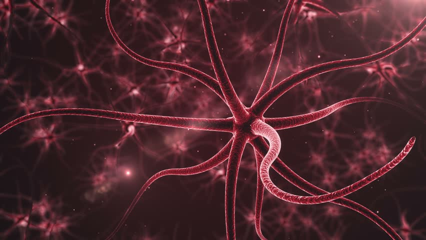 Red Neurons with Electric Impulses.real Stock Footage Video (100% ...