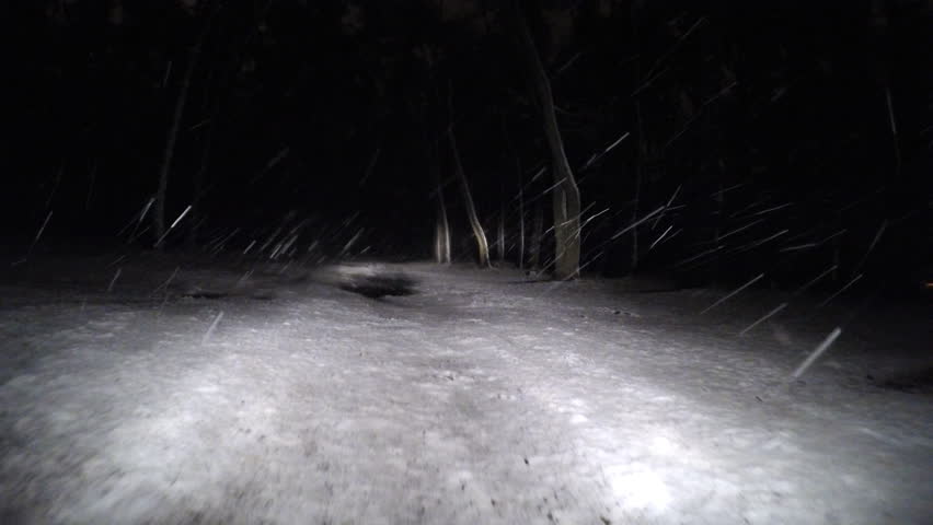 First Person Perspective Scene Of A Car Driving Down A Dark Road At ...