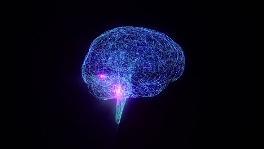 Digital Animation Of Brain Spinning On Blue Background Stock Footage ...