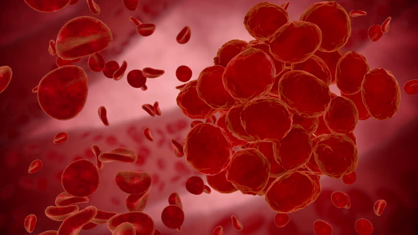 Blood Cell, Eritrocite Inside Organism View. Medical Concept Stock ...