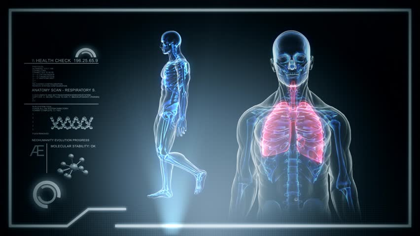 Human Anatomy WALKING With Futuristic Blue Touch Screen Scan Interface ...