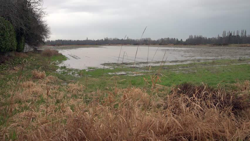 Field Flood 4k Uhd. a Stock Footage Video (100% Royalty-free) 14557039 ...