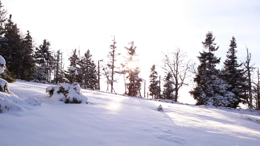 Yosemite National Park, California, Beautiful, Wintry Scene, Snow ...