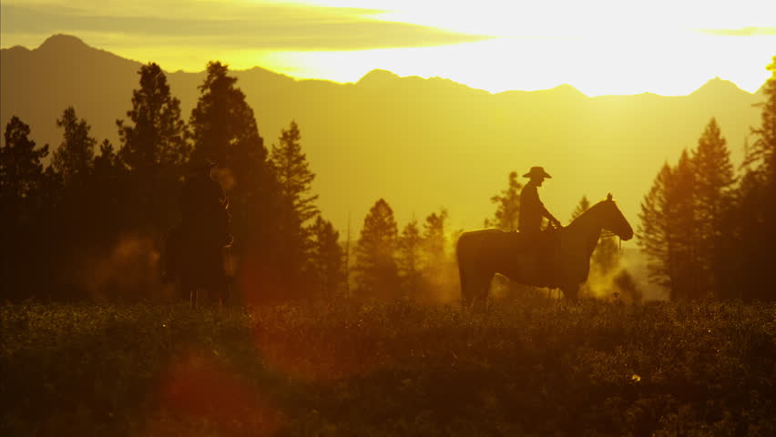 Silhouette Of Cowboy Riders Forest Wilderness Area Canada ...
