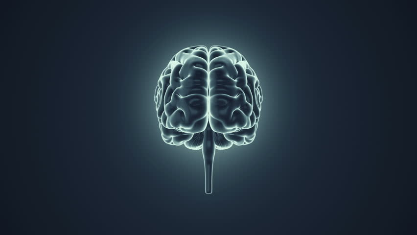 Abstract Background With Animation Of Rotation Human Brain With Glow ...