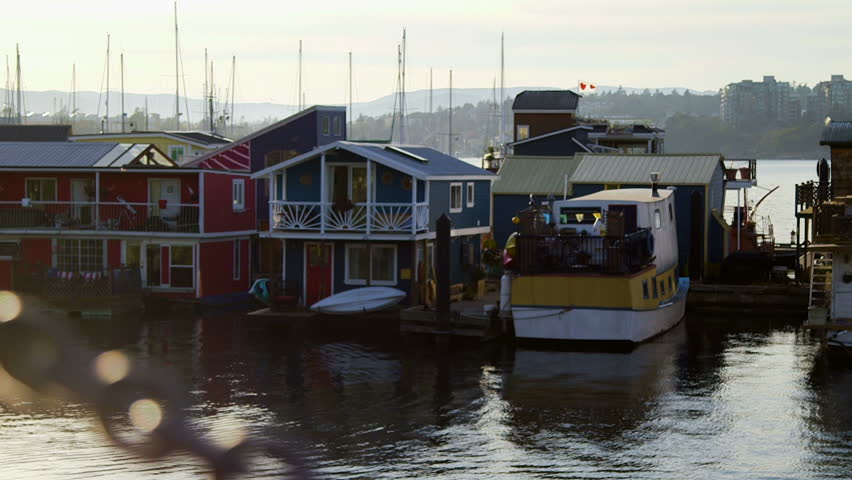 Nature In NewfoundLand, Canada, Stock Footage Video 20447155 | Shutterstock