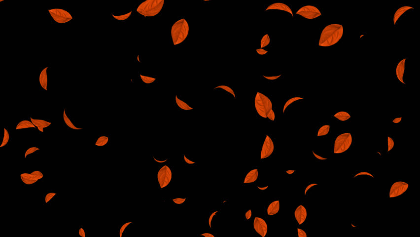 Falling Fall Autumn Yellow Leaves Flowing On Wind And Rotating In Slow ...