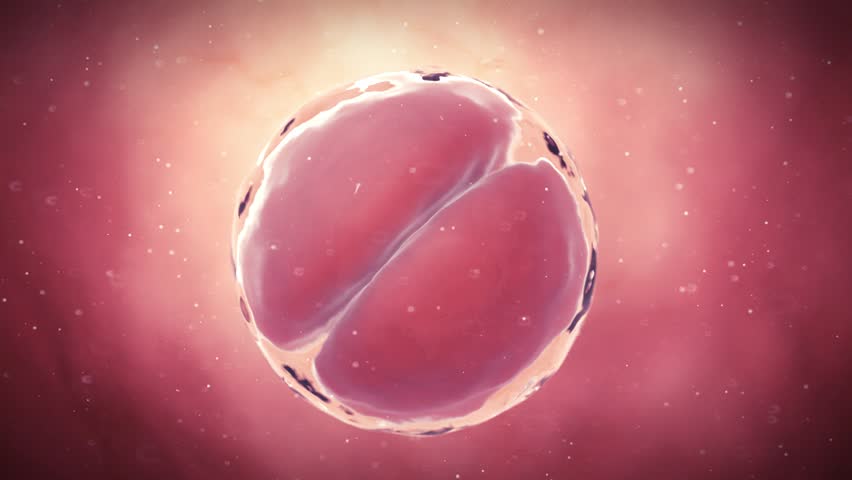 Medical 3d Animation of a Stock Footage Video (100% Royalty-free ...