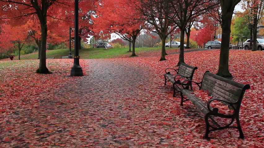 Stock video of tom mccall public waterfront park in | 1620919 ...
