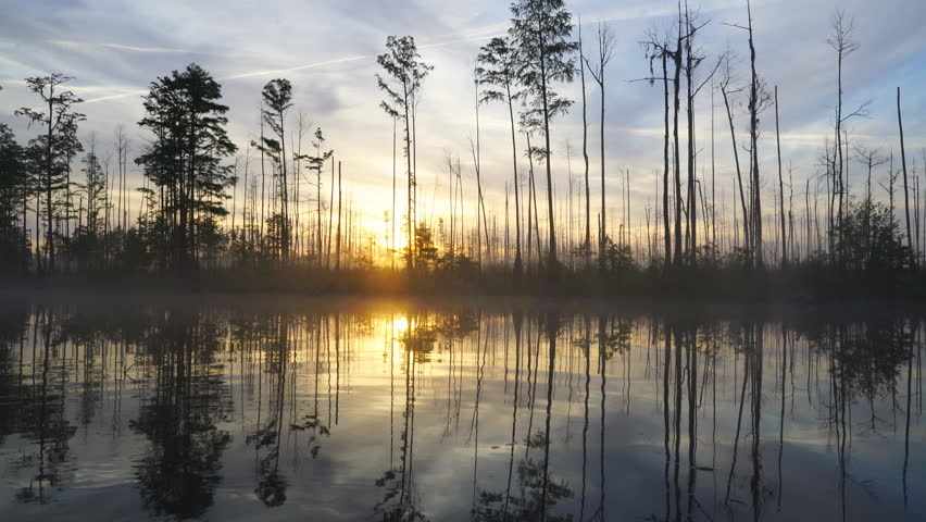 Willow Chute Bayou In Bossier Parish, La. Stock Footage Video 10859096 ...
