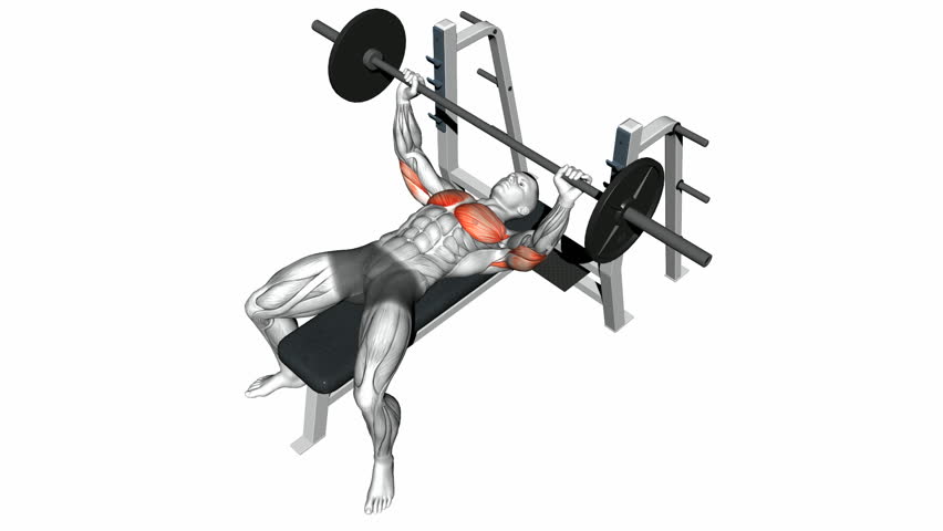 Double Twist On The Bench. Video Guides Exercising For Bodybuilding ...