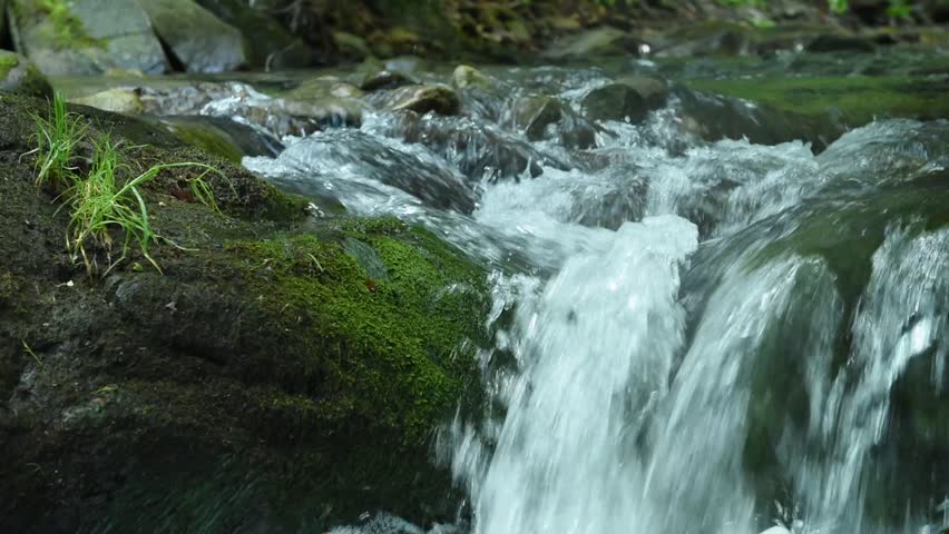 Waterfall. Flowing Water In A Natural Forest Stream Stock Footage Video ...