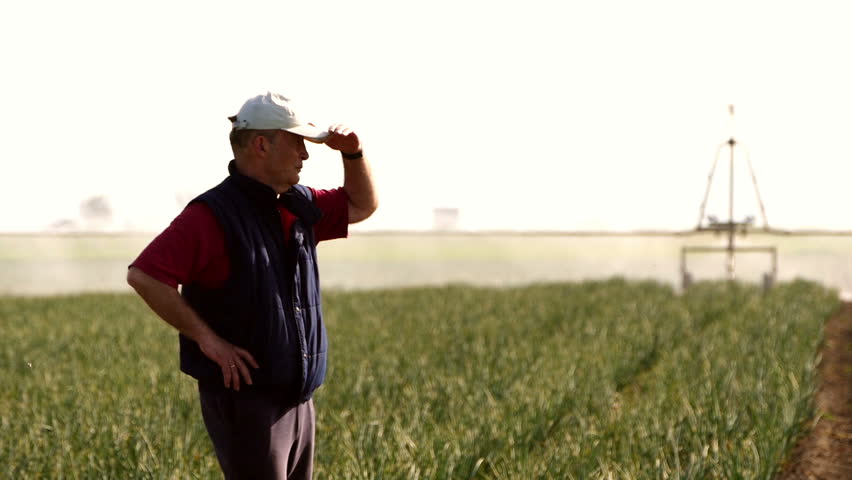 Farmer is Checking the Field Stock Footage Video (100% Royalty-free ...