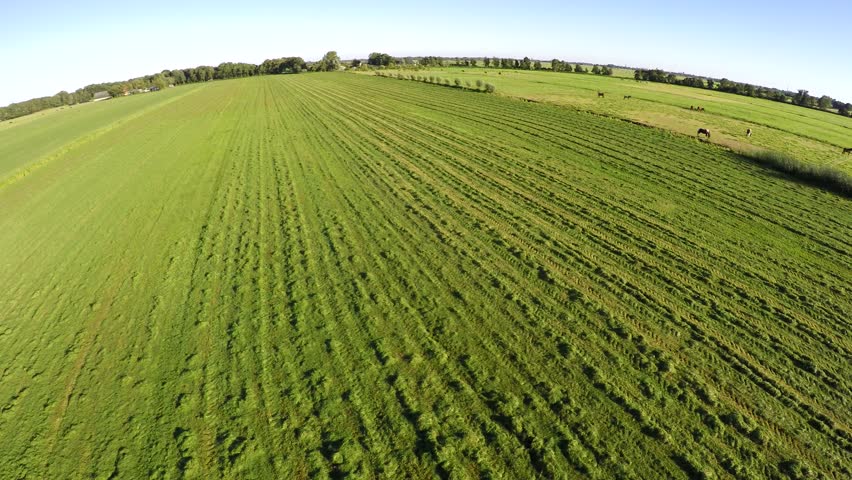 Drone Flight Aerial Bird Eye View Of Tractor Mowing Grass On Beautiful ...