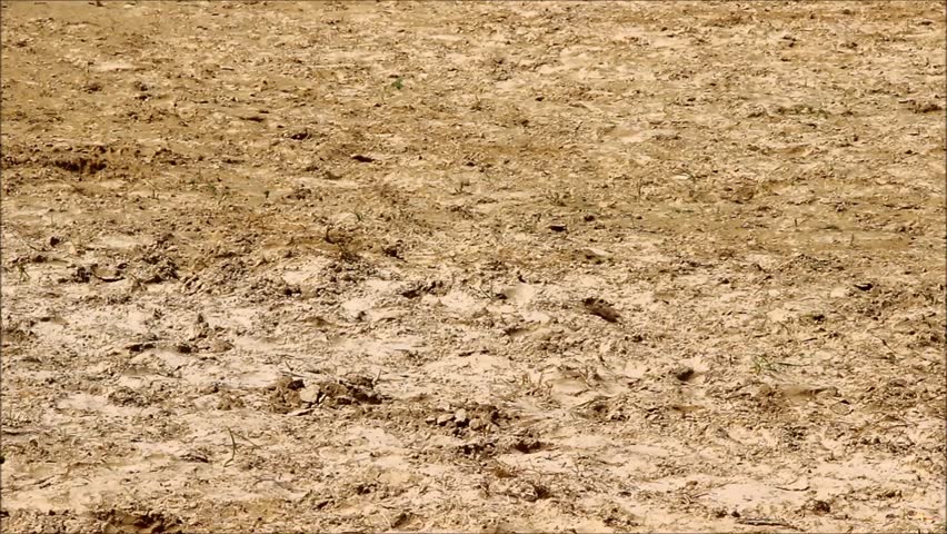 Warming up Barefoot On Sand Stock Footage Video (100% Royalty-free ...