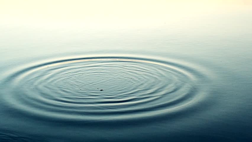 Stone Falls Into Water. The Thrown Stone Plops And Produces Waves And ...