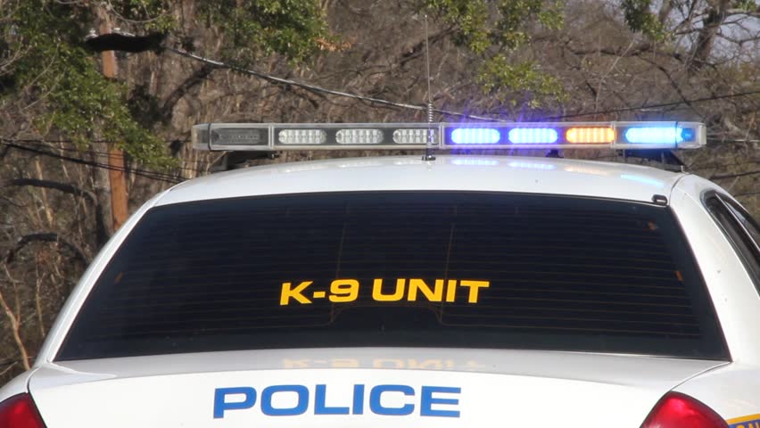 Rear View of Police K9 Stock Footage Video (100% Royalty-free) 1961089 ...