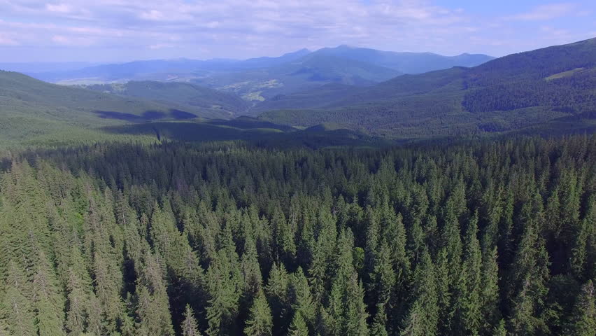 Alaska Trees River Forrest Spring. Beautiful Wide View Of Alaskan ...