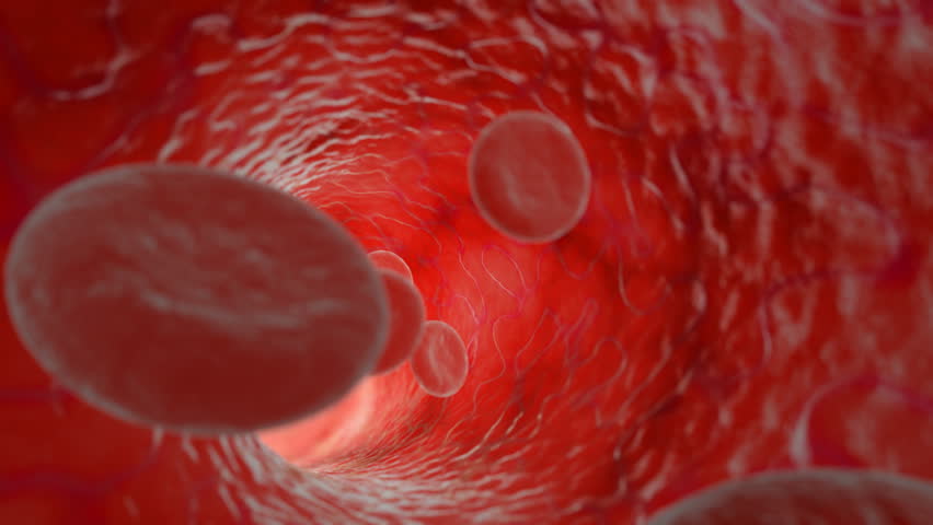 Inside A Human Blood Vessel - 1080p HD Scientific Animation. Stock ...