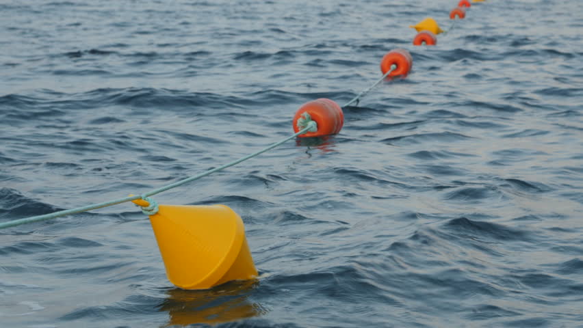 Stock video of colored buoys floating in a seaport | 21595099 ...