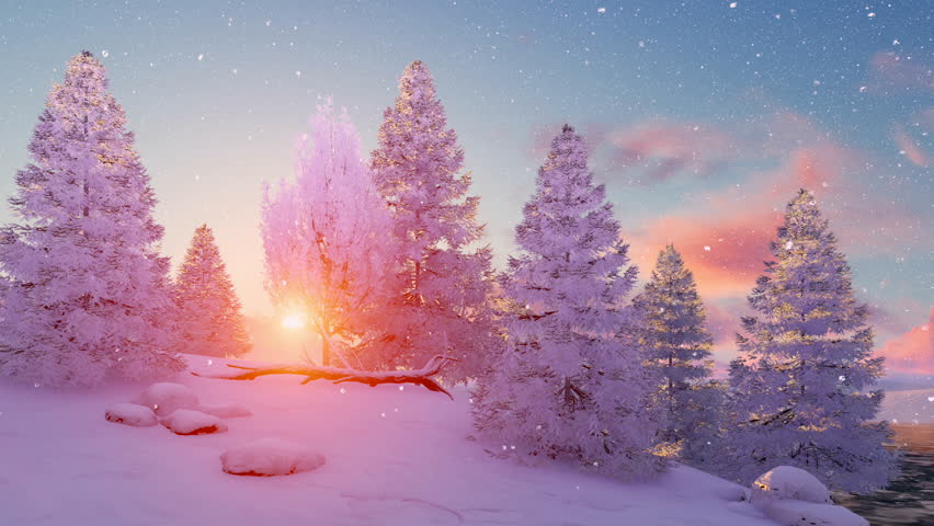 Dreamlike Winter Scenery With Snowy Fir Forest Under Dark Night Sky ...